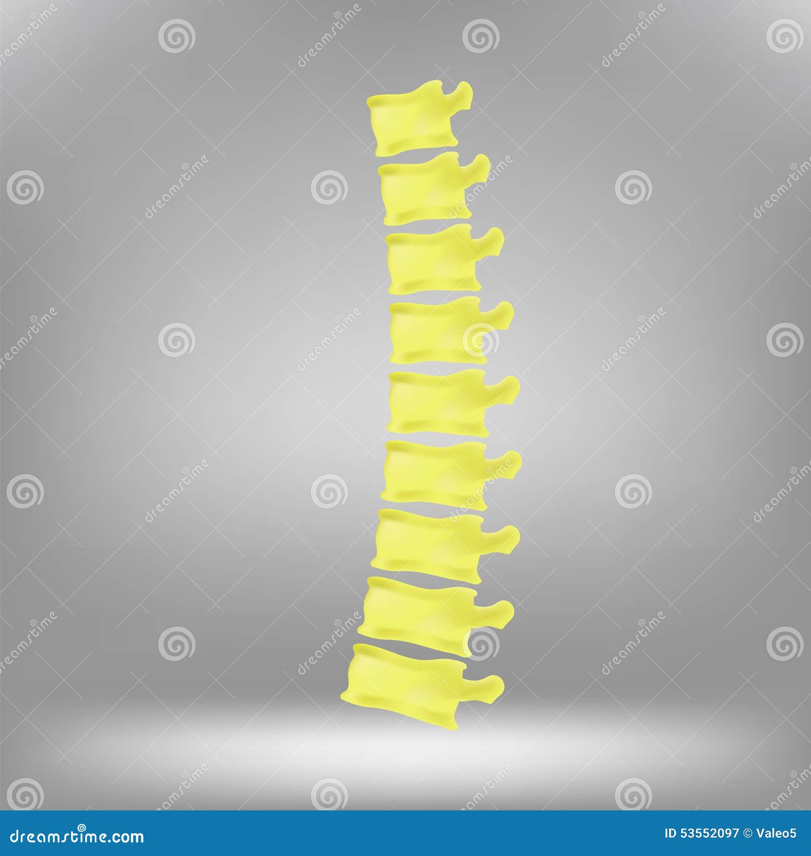 Spine Icon Cartoon Vector | CartoonDealer.com #53552097