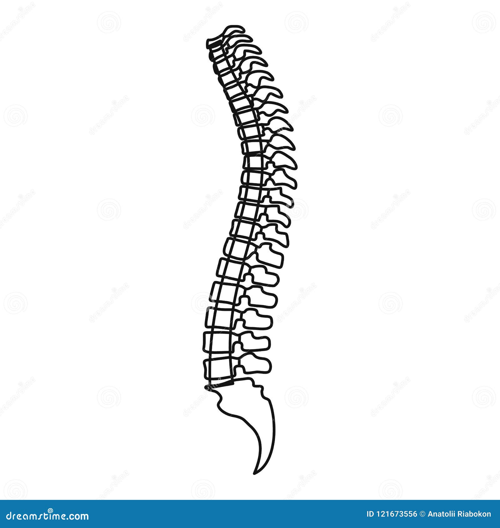 Spine icon, outline style stock vector. Illustration of medicine ...