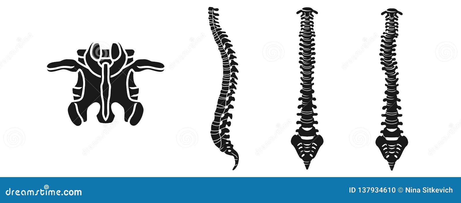 Spine Icons Set, Simple Style Stock Vector - Illustration of ...