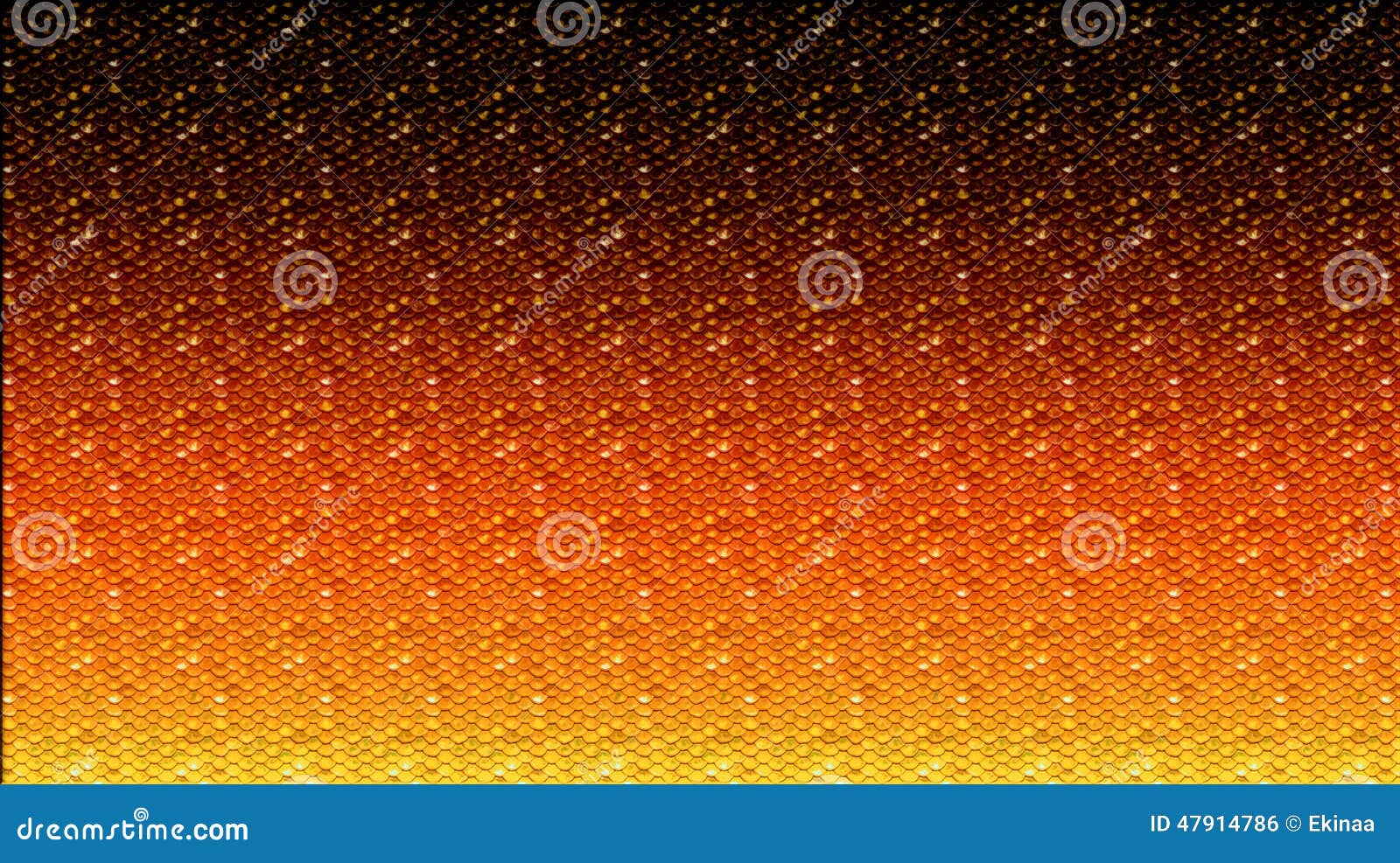 Dramatic Spine, Ribs Fracture. CT-scan Reconstruction. Stock Image ...