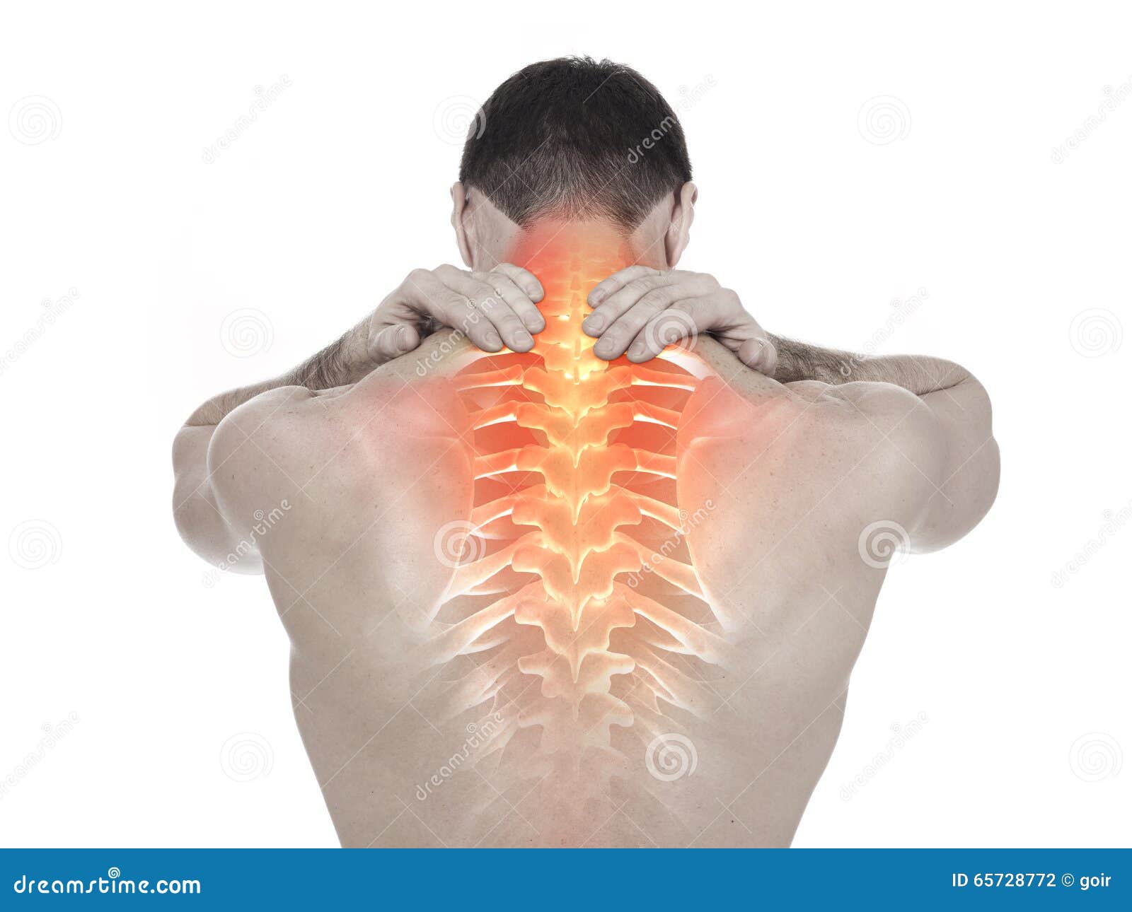 Spine pain stock photo. Image of muscle, medicine, backgrounds - 65728772