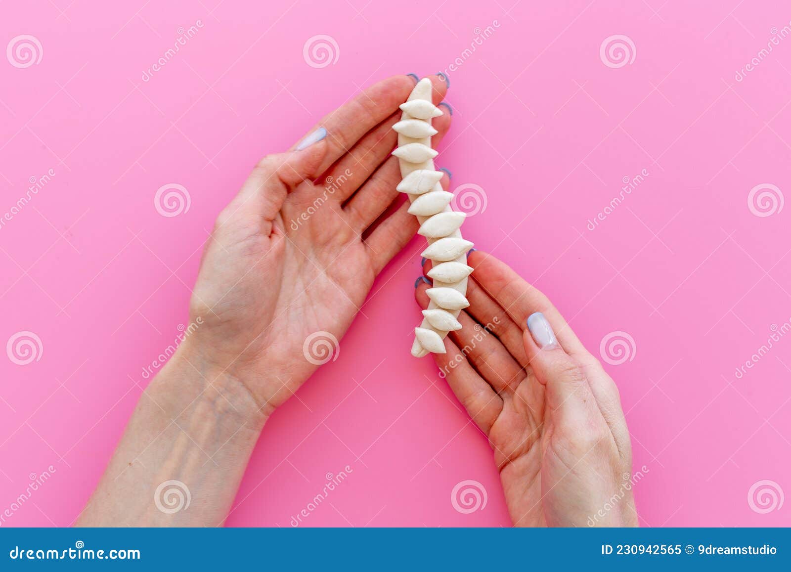 Spine Skeleton Model in Hands. Spinal Diseases Curvature Concept Stock ...