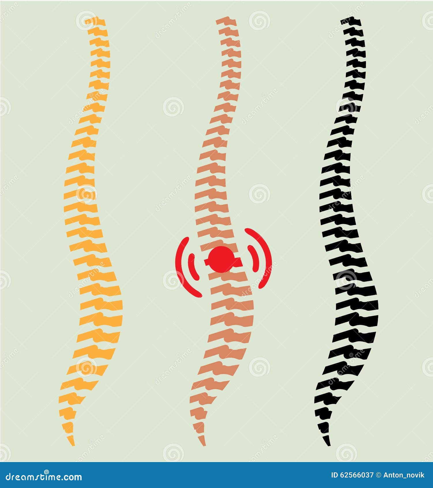 Spine. Vector Drawing | CartoonDealer.com #149502526
