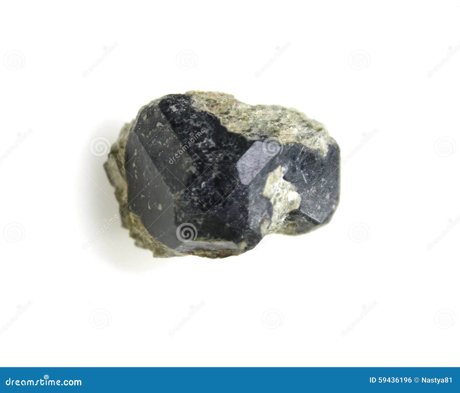 Spinello su bianco fotografia stock. Immagine di complesso - 59436196