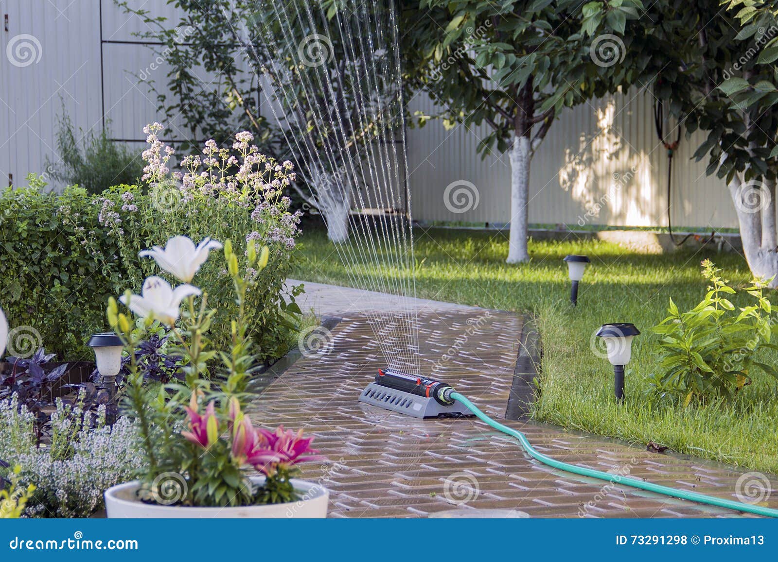 Spinkler in garden stock photo. Image of district, field - 73291298