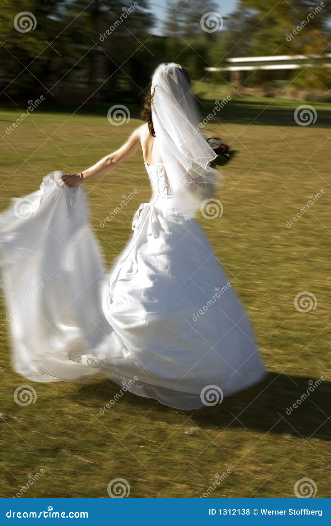 Spinning Bride stock photo. Image of honeymoon, dress - 1312138