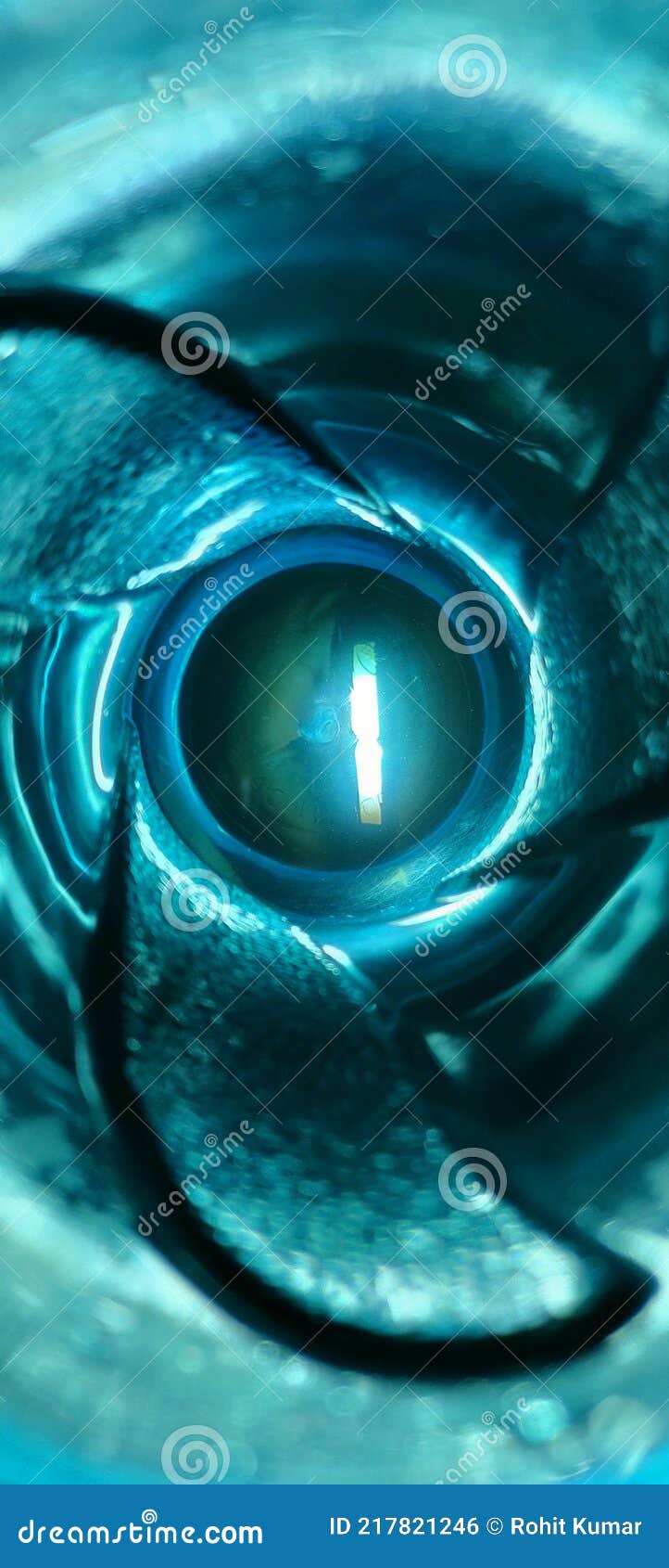 Spinning Water Bottle on Light Stock Photo - Image of sunlight ...