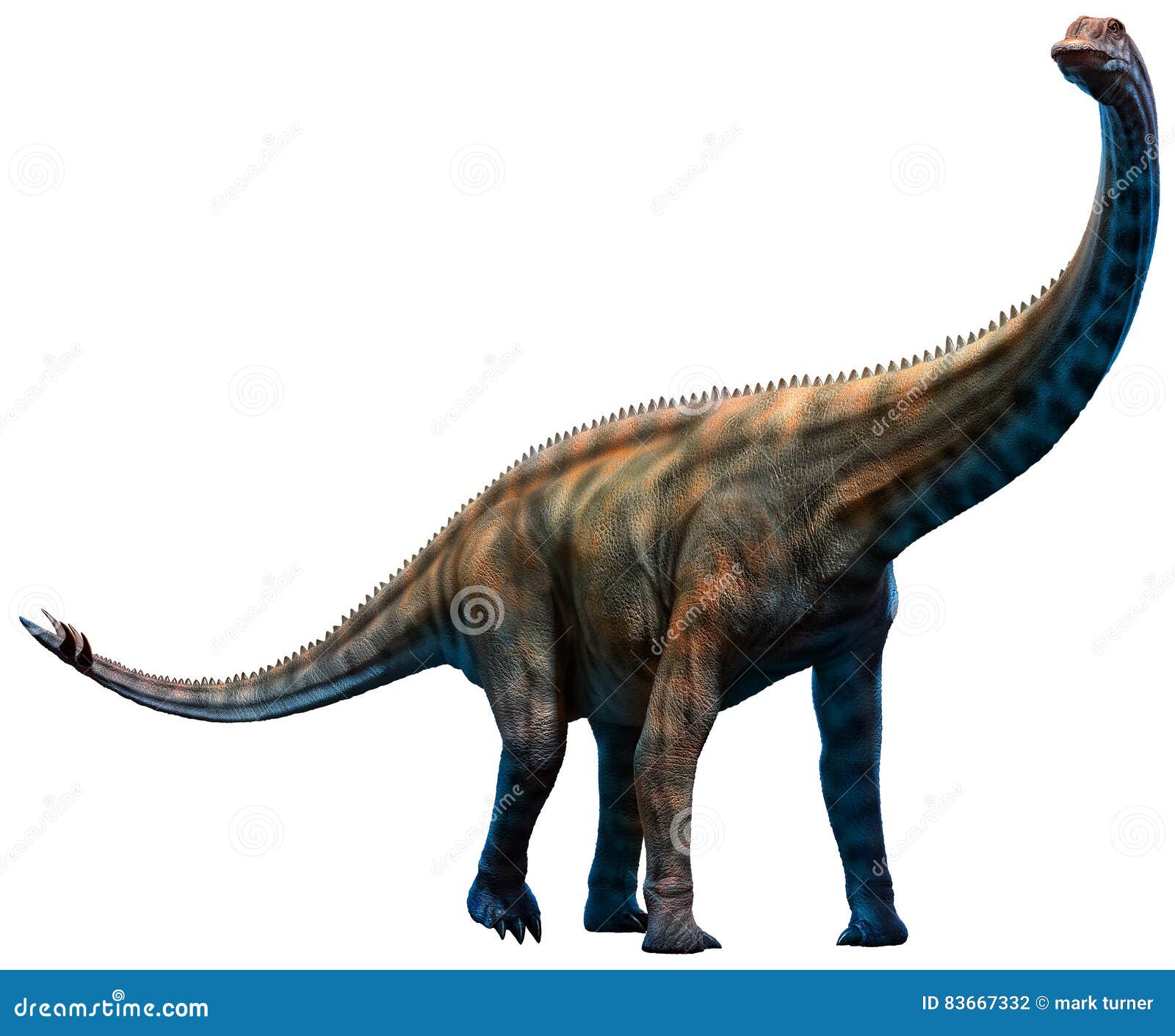 Spinophorosaurus illustration stock. Illustration du grand - 83667332