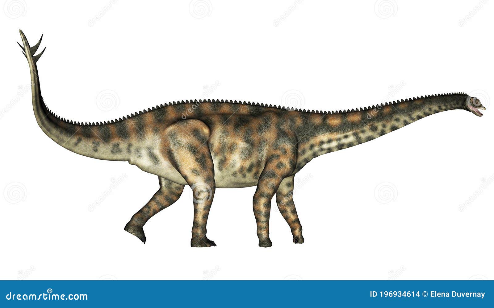 Spinophorosaurus Dinosaur - 3D Render Stock Illustration - Illustration ...