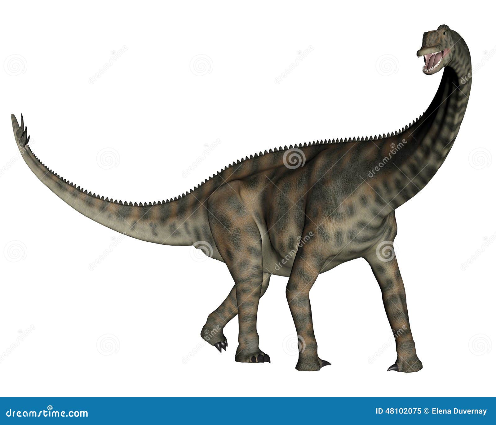 Spinophorosaurus Dinosaur Standing - 3D Render Stock Illustration ...