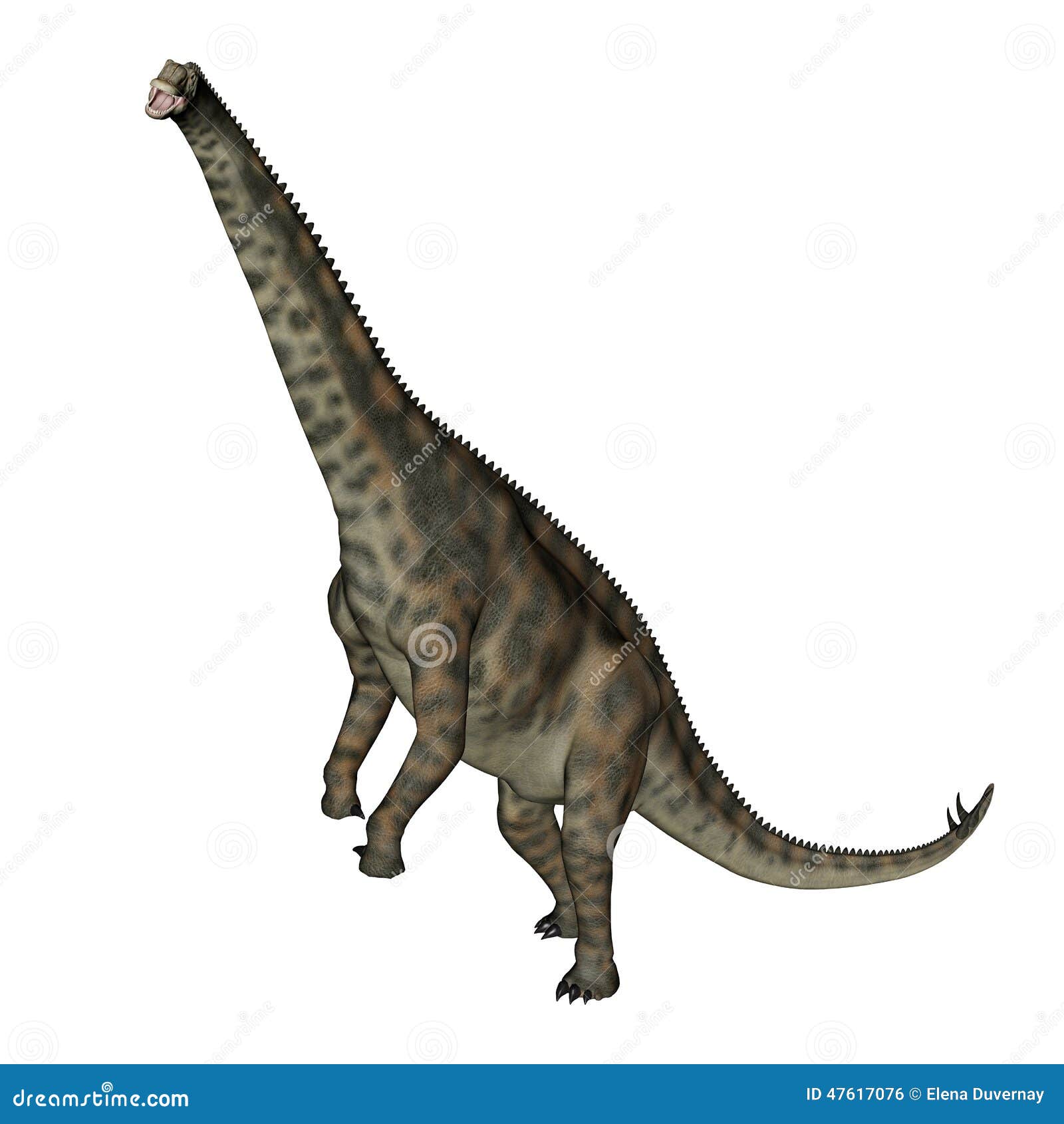 Spinophorosaurus Dinosaur Standing Up - 3D Render Stock Illustration ...