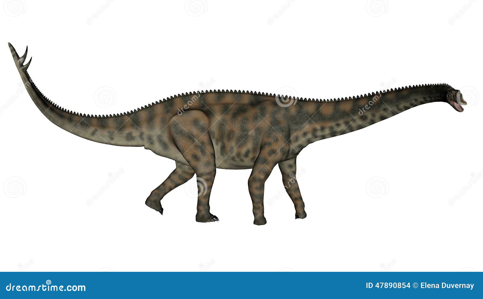 Spinophorosaurus Dinosaur - 3D Render Royalty-Free Stock Image ...