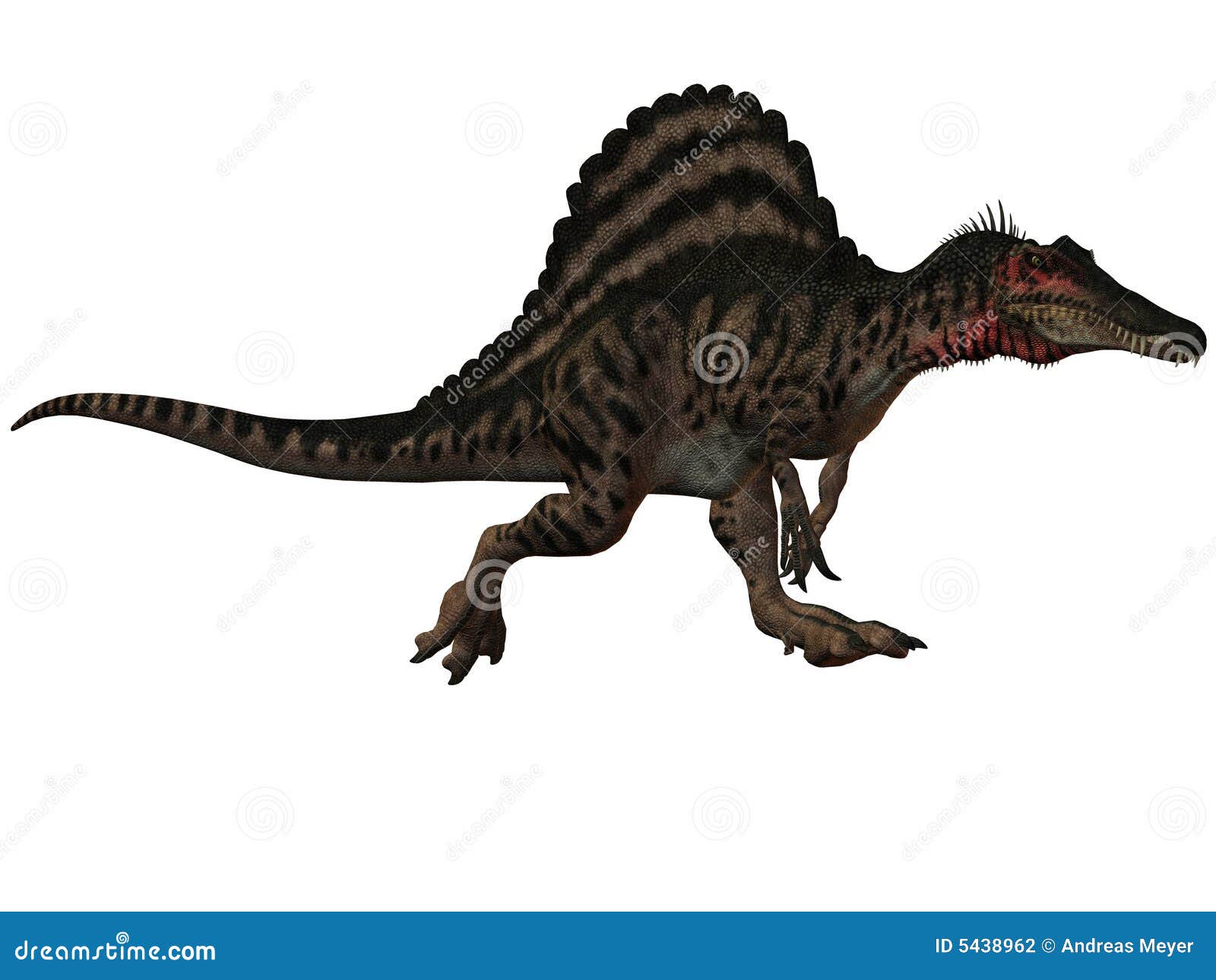 Spinosaurus stock illustration. Illustration of monstrous - 5438962