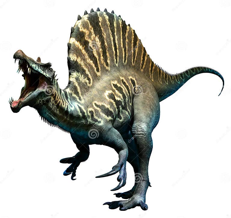 Spinosaurus 库存例证. 插画 包括有 北部, 爬行动物, 食肉动物, 重婚, 闹事, 史前, 例证 - 81855579