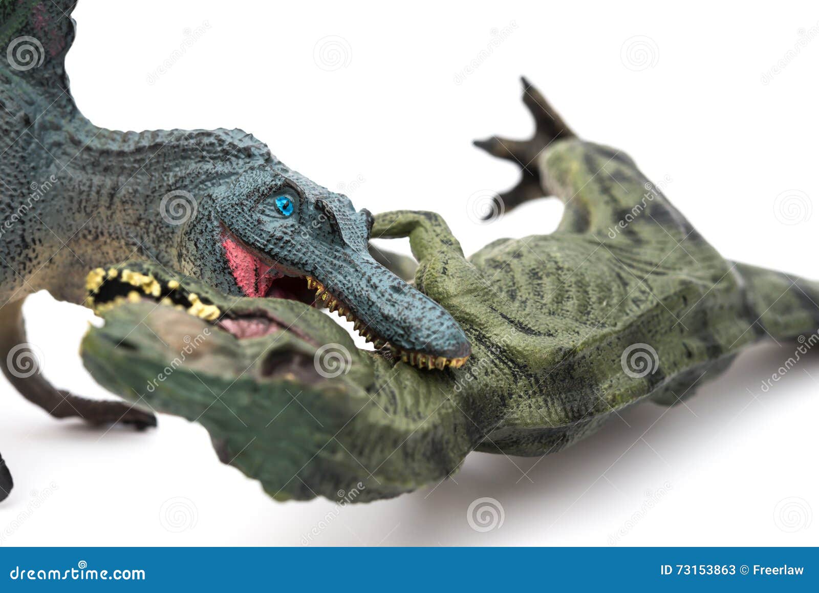 Spinosaurus Biting Tyrannosaurus on White Stock Image - Image of force ...
