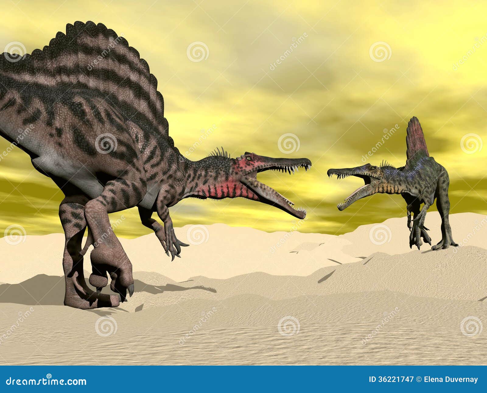 Spinosaurus Dinosaur Fighting - 3D Render Stock Illustration ...