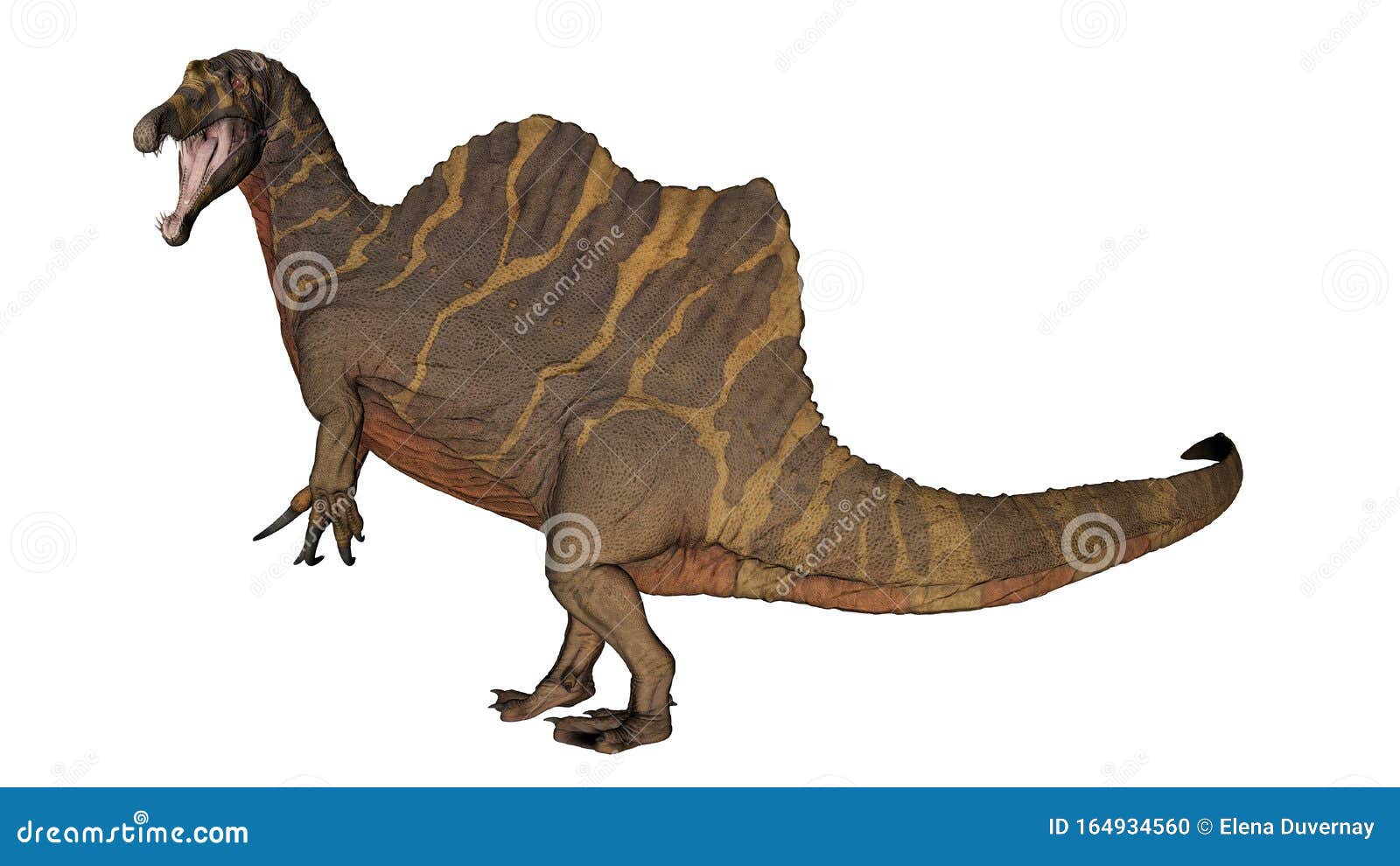 Spinosaurus Dinosaur Raoring while Walking - 3D Render Stock ...