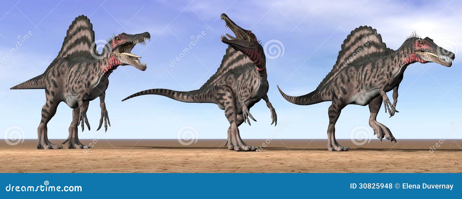 Spinosaurus Standing Up In White Background Royalty-Free Illustration ...