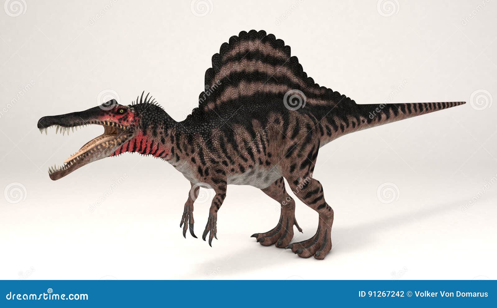 Spinosaurus II Color-Dinosaur Stock Illustration - Illustration of ...