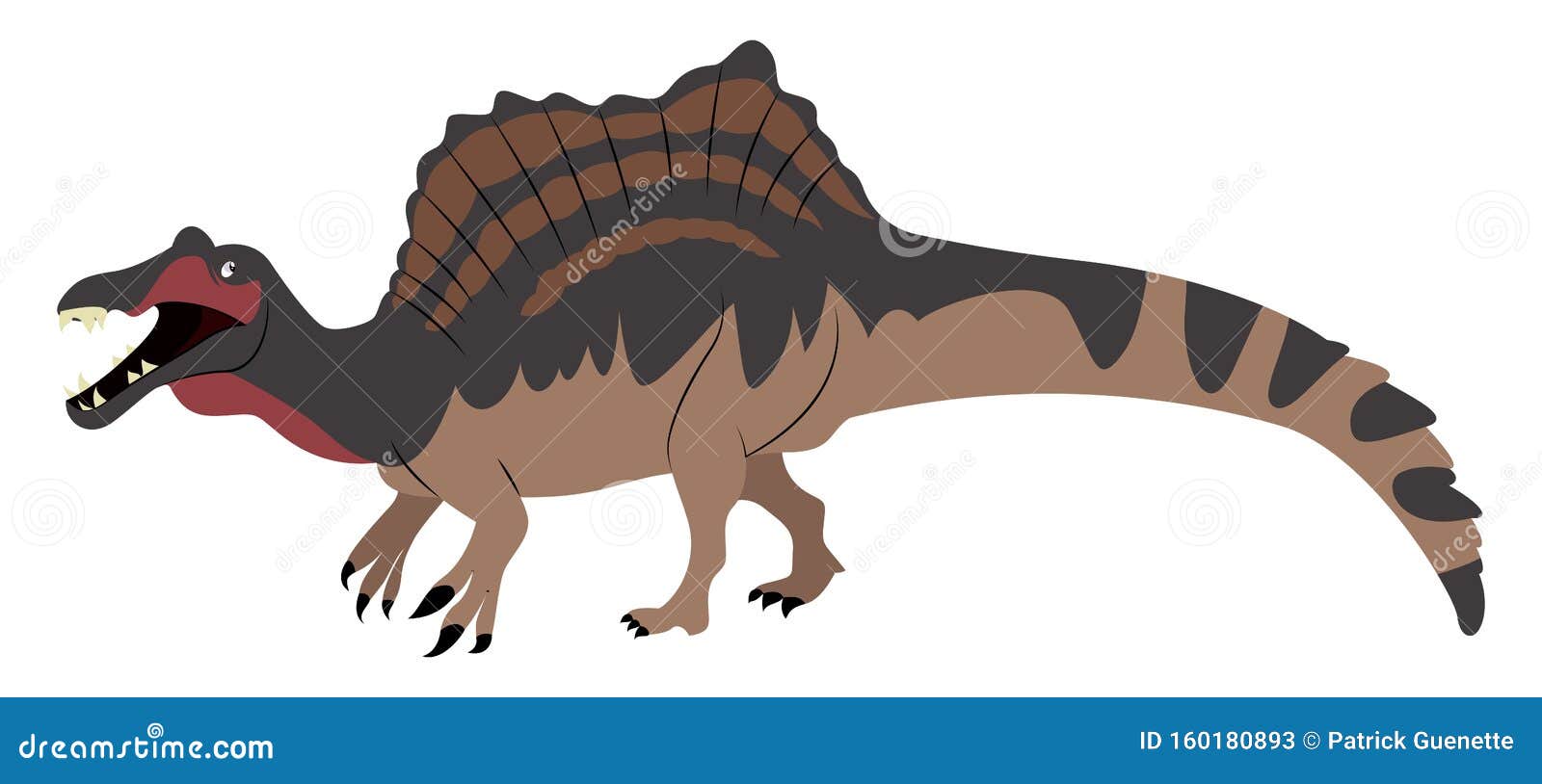 Spinosaurus Illustration. Dinosaur With Crest On Back. Stock Image ...