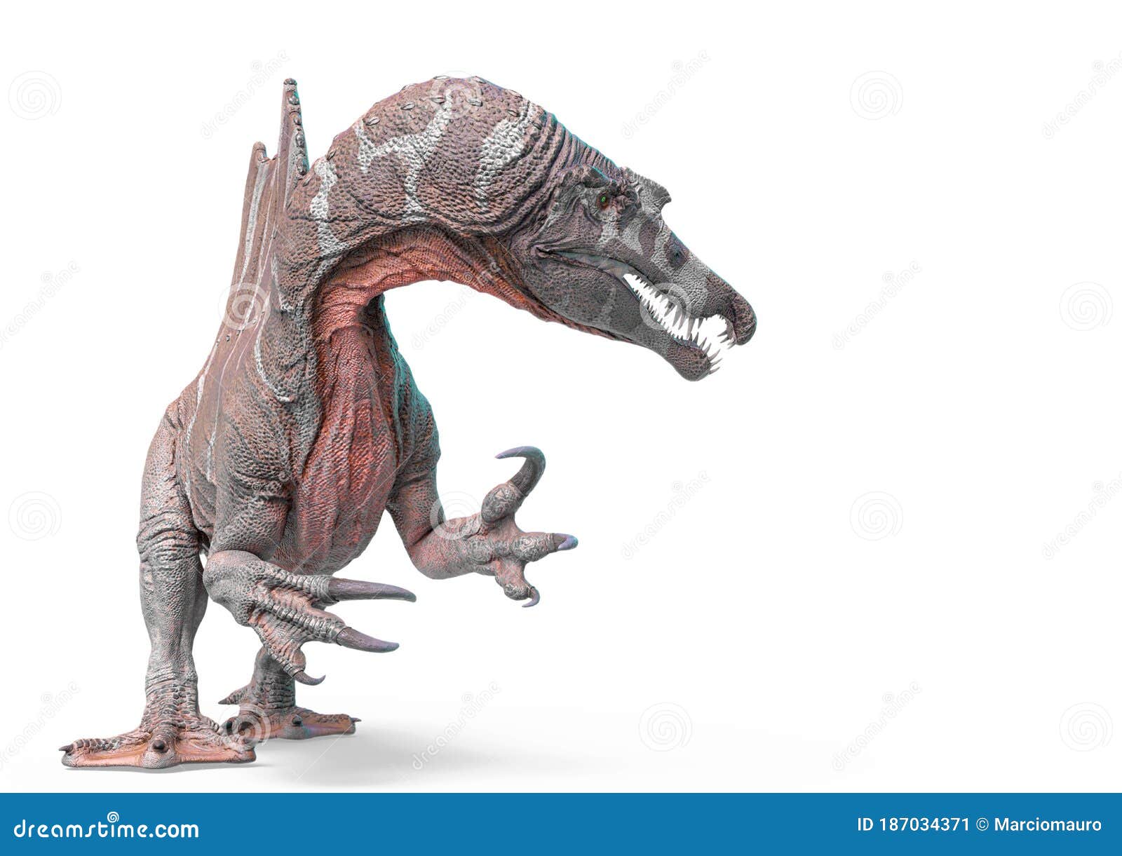 Spinosaurus Looking Down in White Background Stock Illustration ...