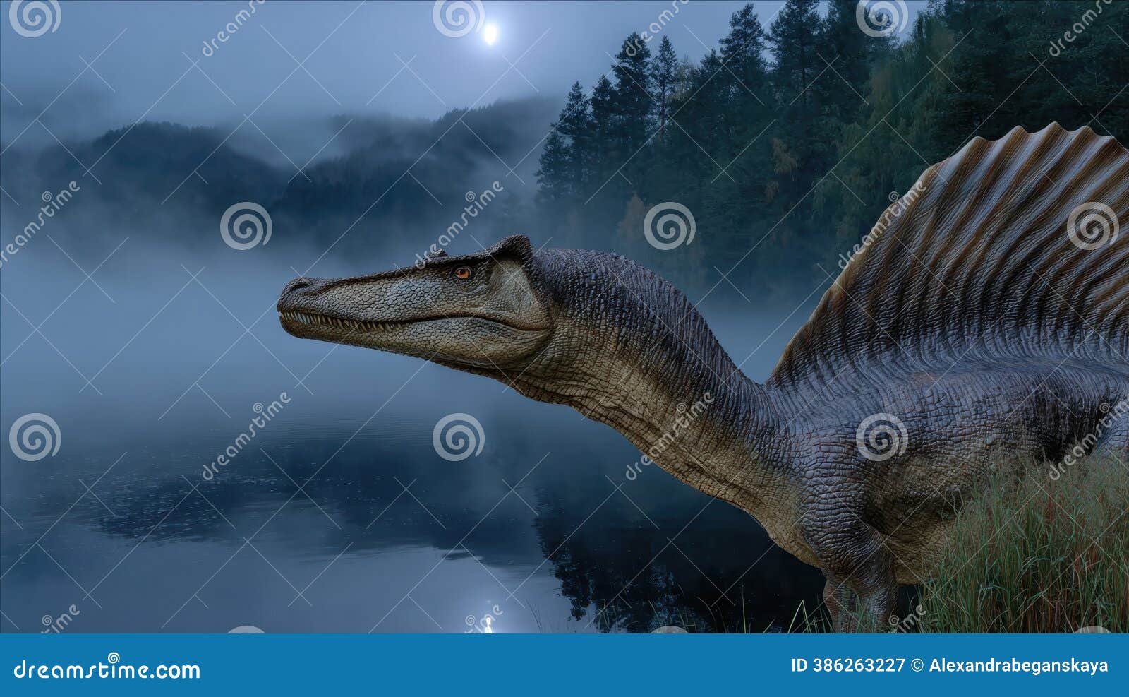 Spinosaurus Top View In White Background Royalty-Free Illustration ...