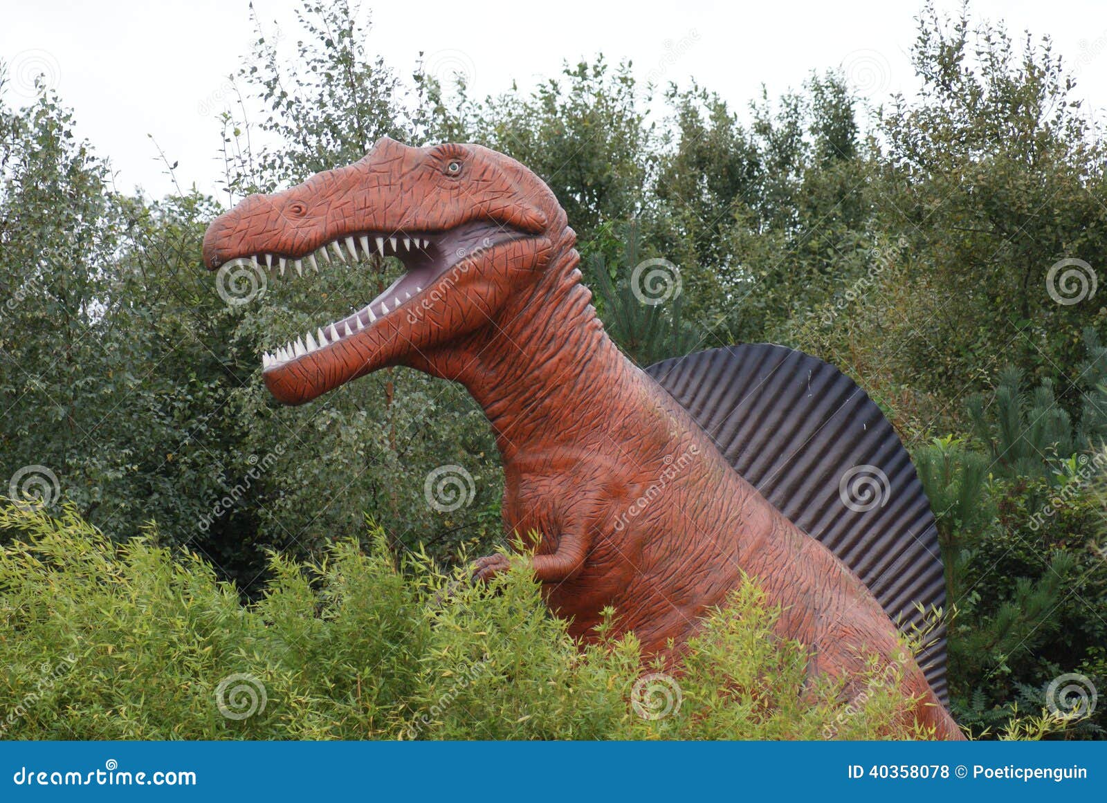 Spinosaurus - Spinosaurus Aegyptiacus Stock Photo - Image of great ...