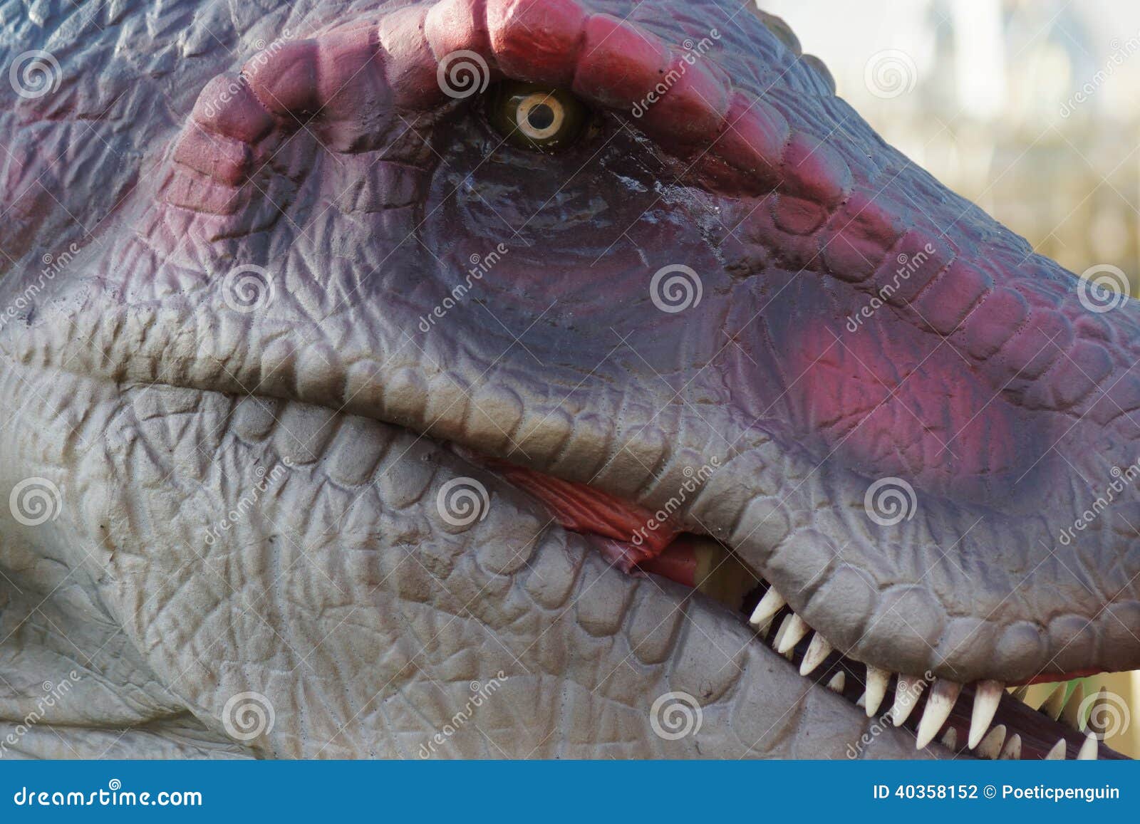 Spinosaurus - Spinosaurus Aegyptiacus Stock Photo - Image of ...