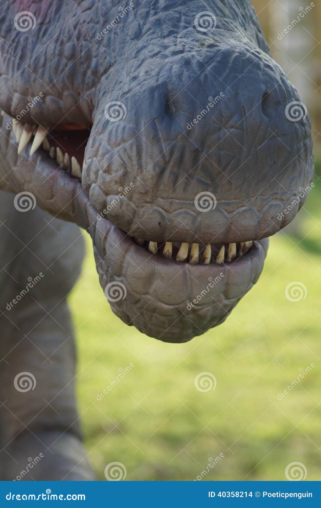 Spinosaurus - Spinosaurus Aegyptiacus Stock Photo - Image of ...