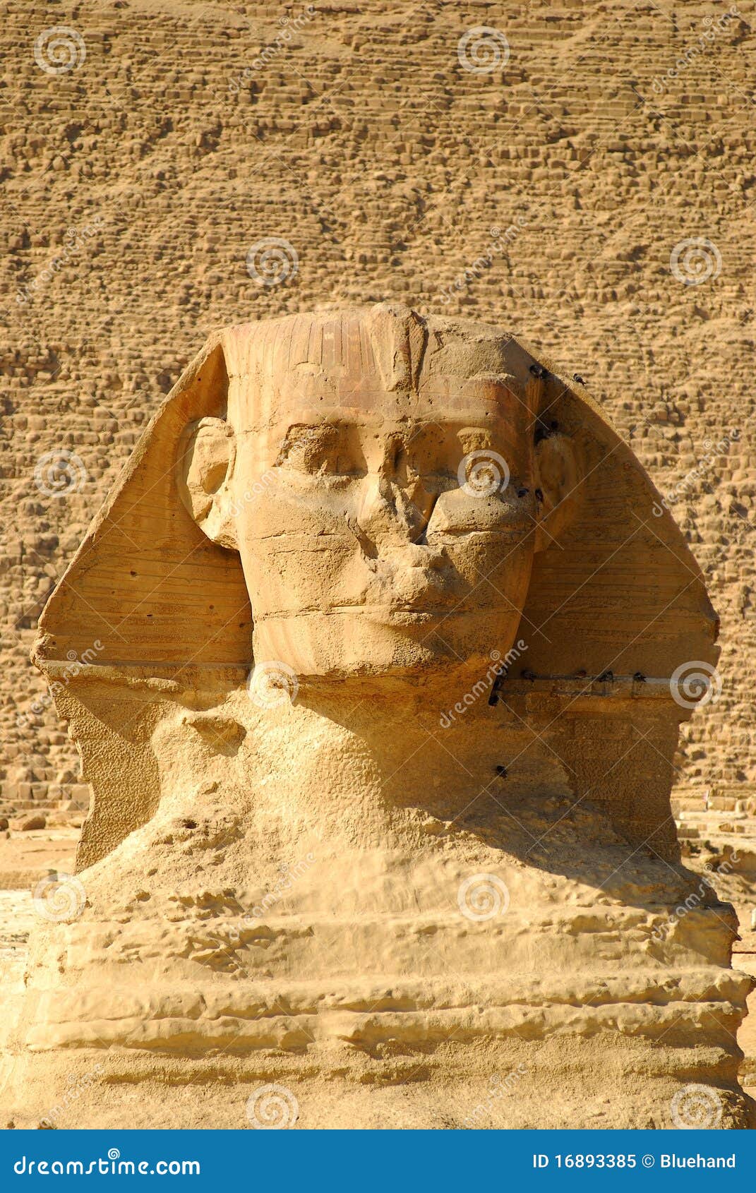 Spinx Face On The Giza Pyramid Background At Sunset, Cairo, Egypt Stock ...