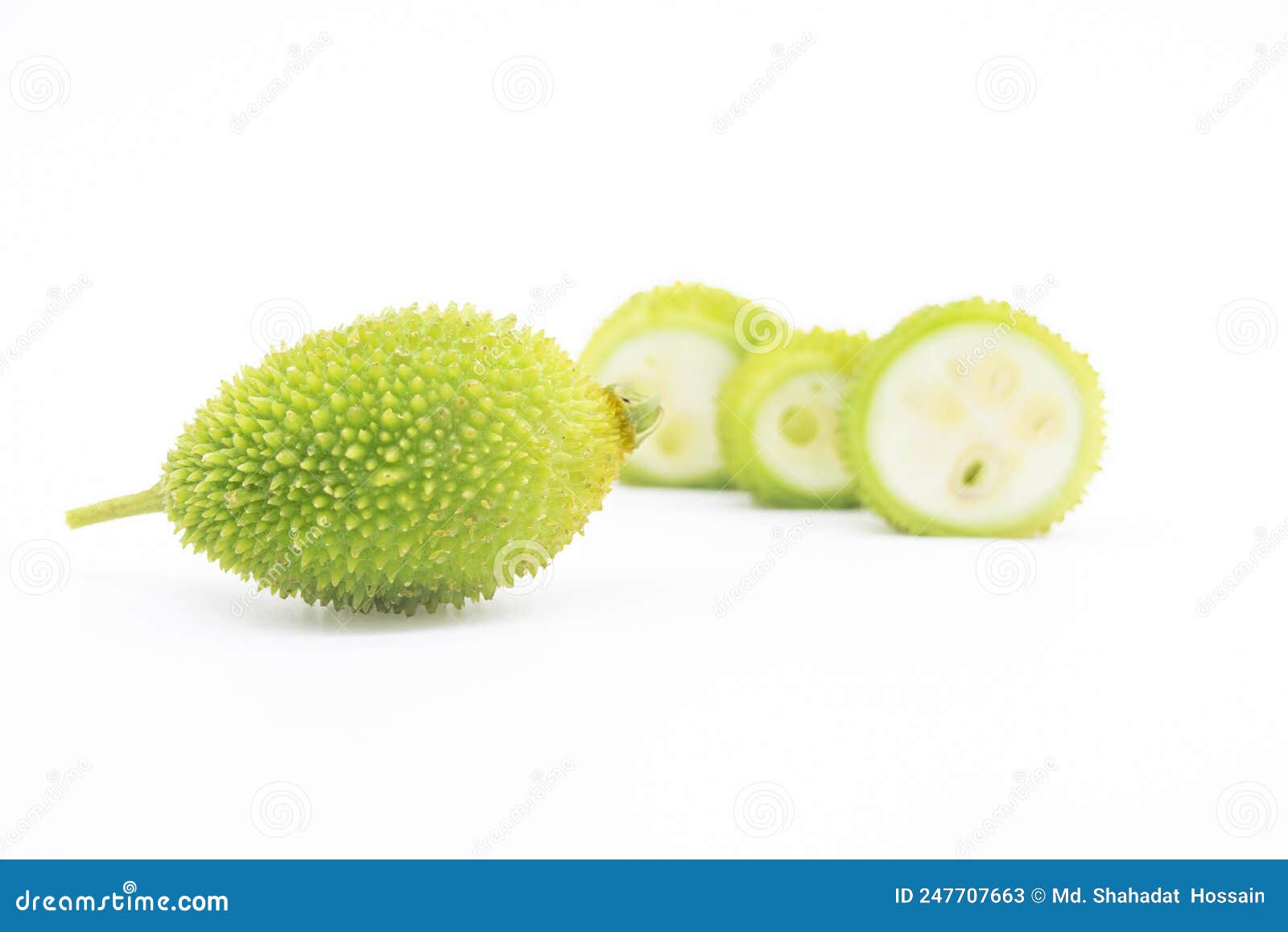 Spiny Gourd Also Known As Kakrol Over on White Background Stock Image ...