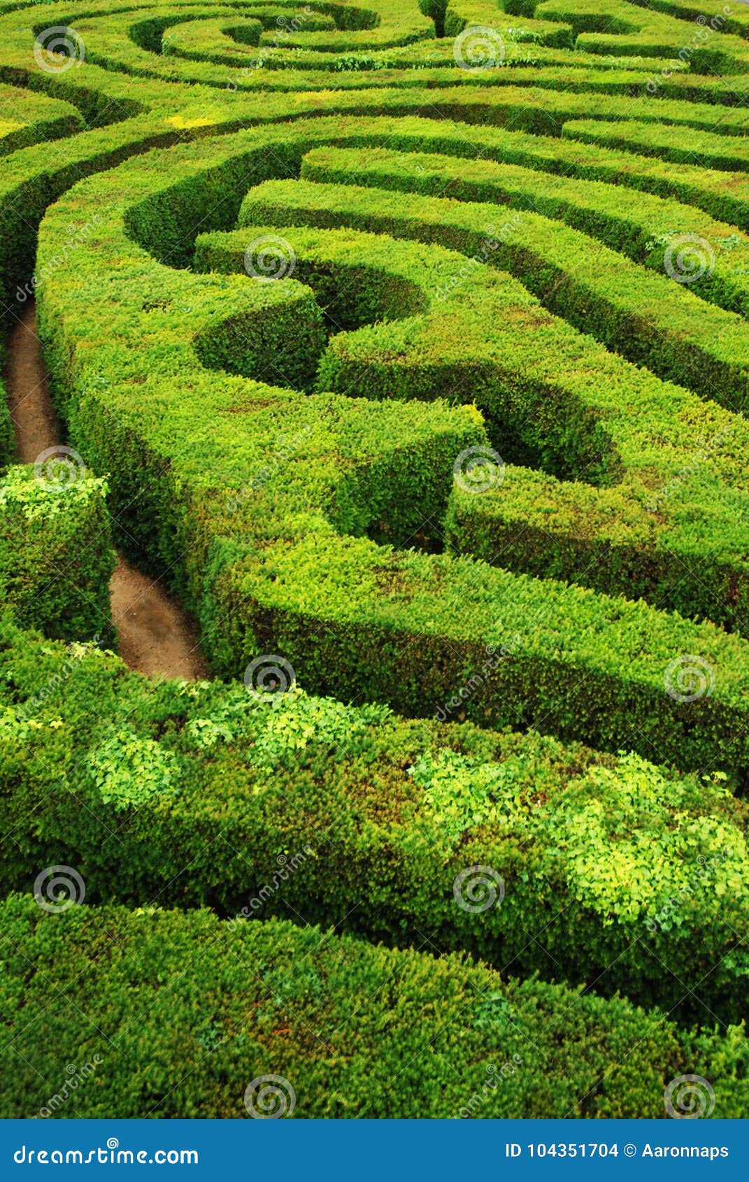 A Spiral Confusing Hedgerow Spiral Maze Stock Photo - Image of exit ...