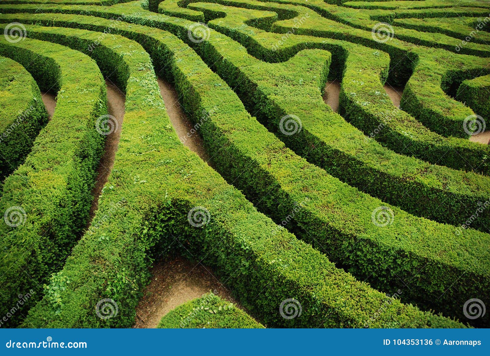 A Spiral Confusing Hedgerow Spiral Maze Stock Photo - Image of goal ...