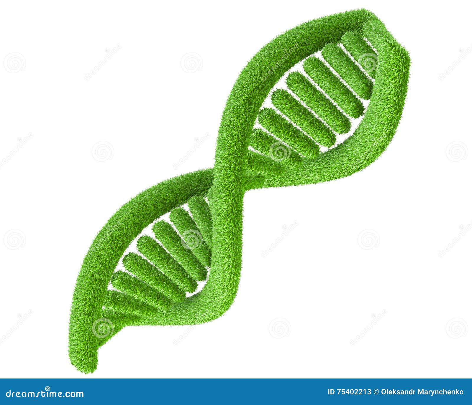 Gene Grass Stock Illustrations – 48 Gene Grass Stock Illustrations ...