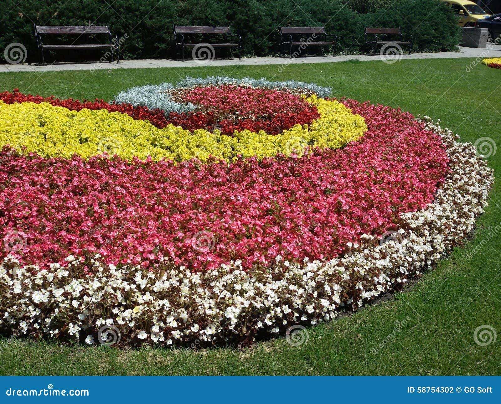Spiral Flowers in Sofia - 2015 Summer Stock Photo - Image of flowers ...