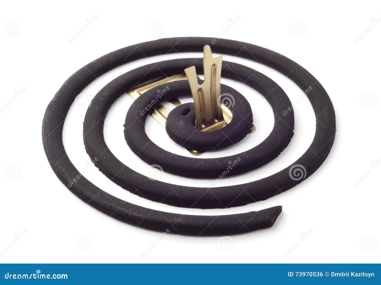 Spiral insect stock photo. Image of circle, insect, pattern - 73970536
