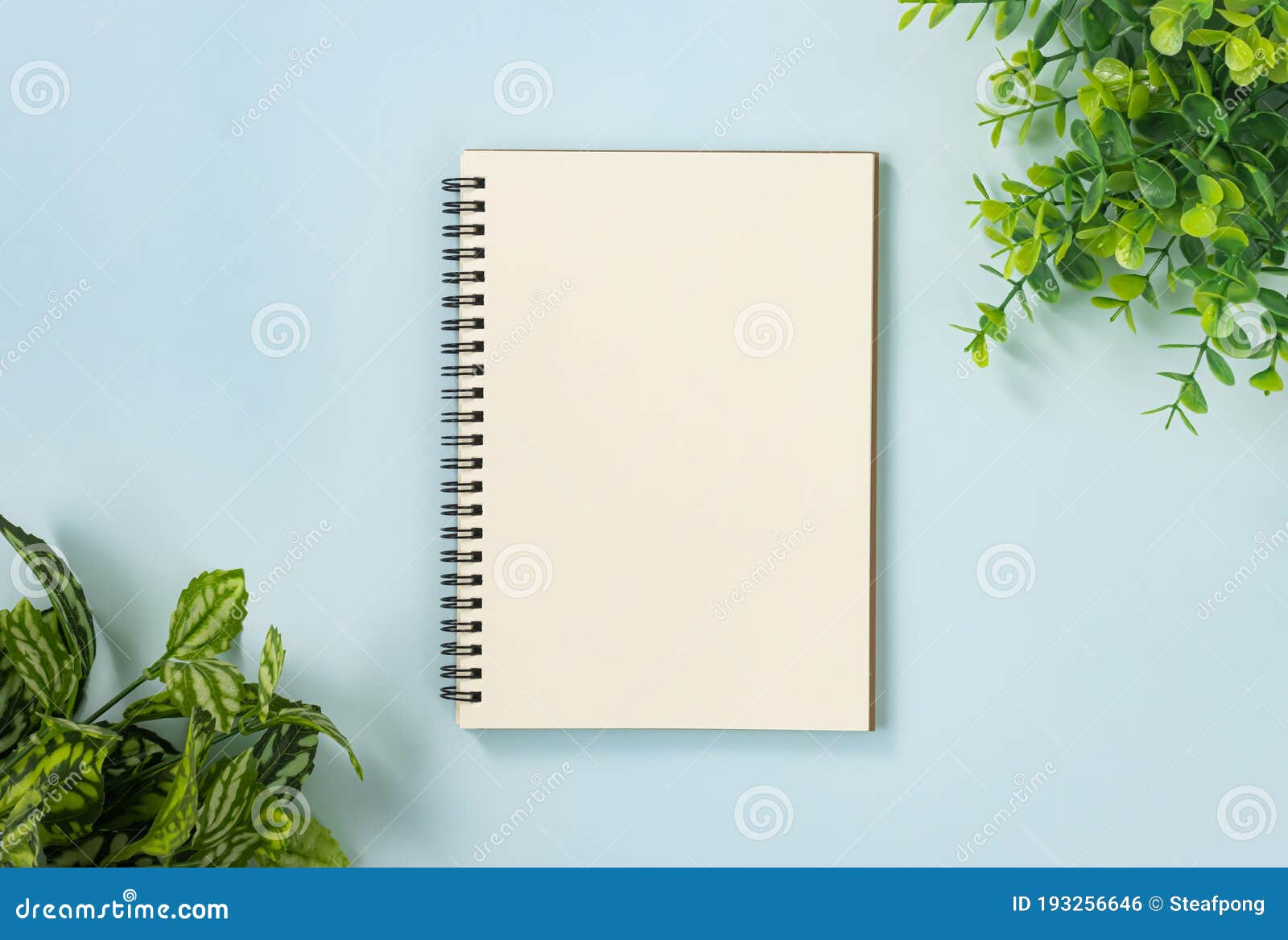 Spiral Notebook or Spring Notebook and Office Plants at Top Right and ...