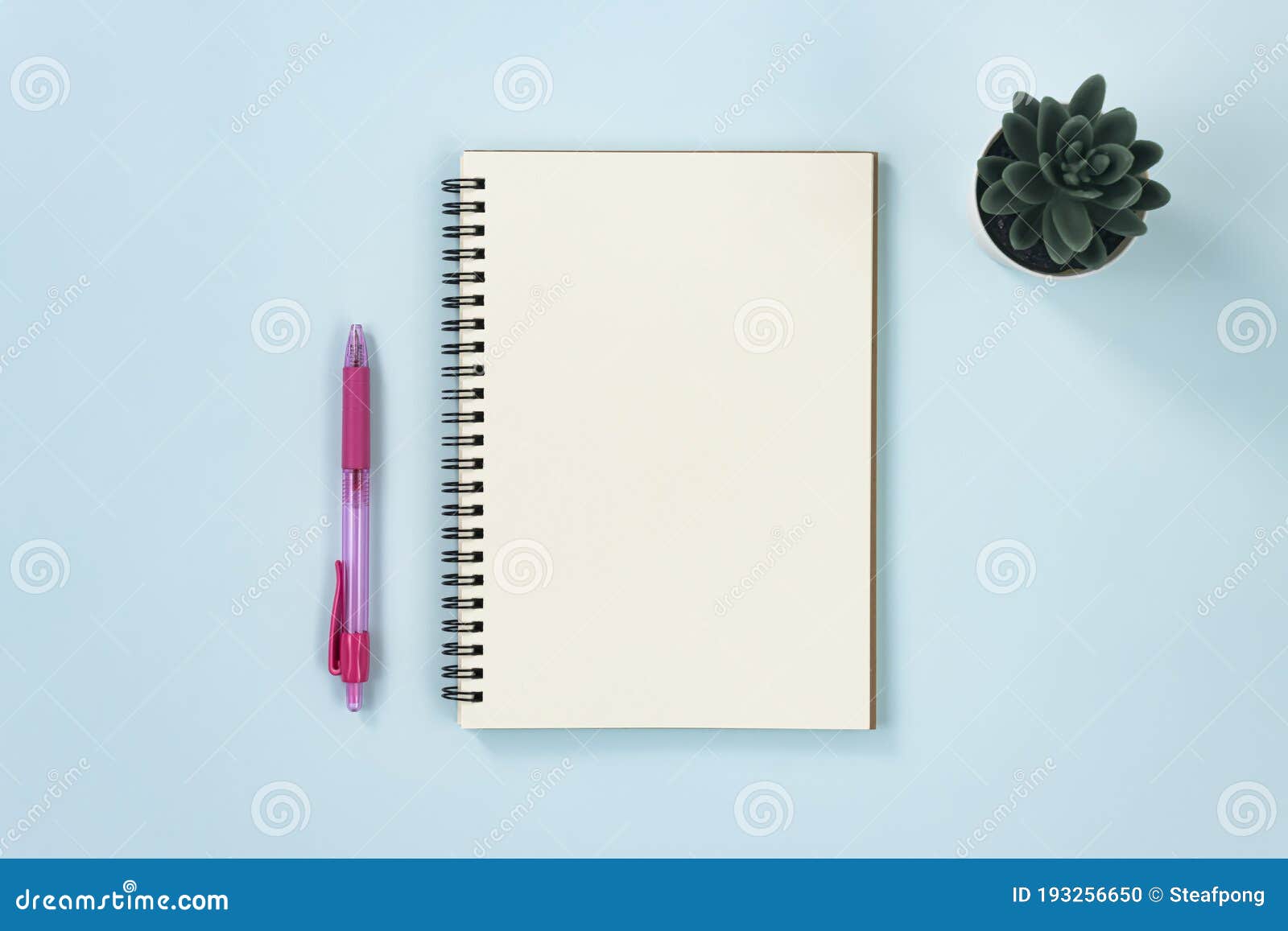 Spiral Notebook or Spring Notebook and Pen and Office Plant on Blue ...