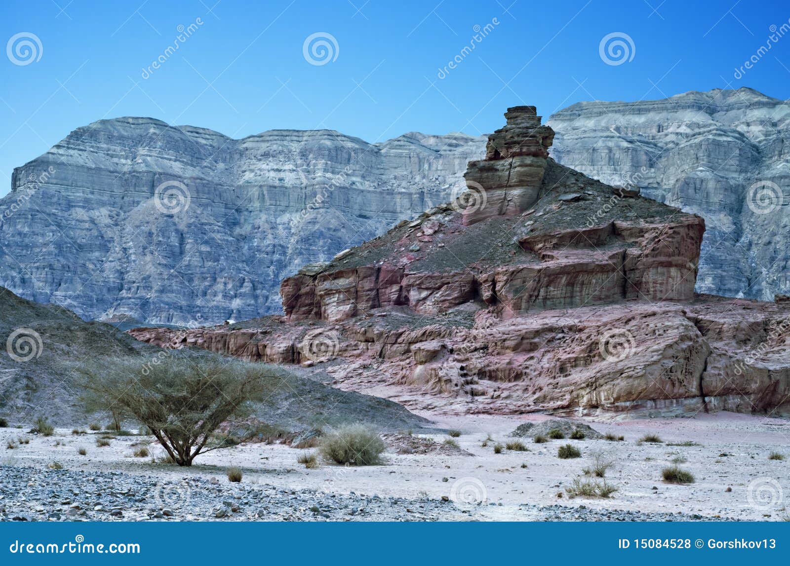Spiral rock in Timna park stock photo. Image of reservation - 15084528
