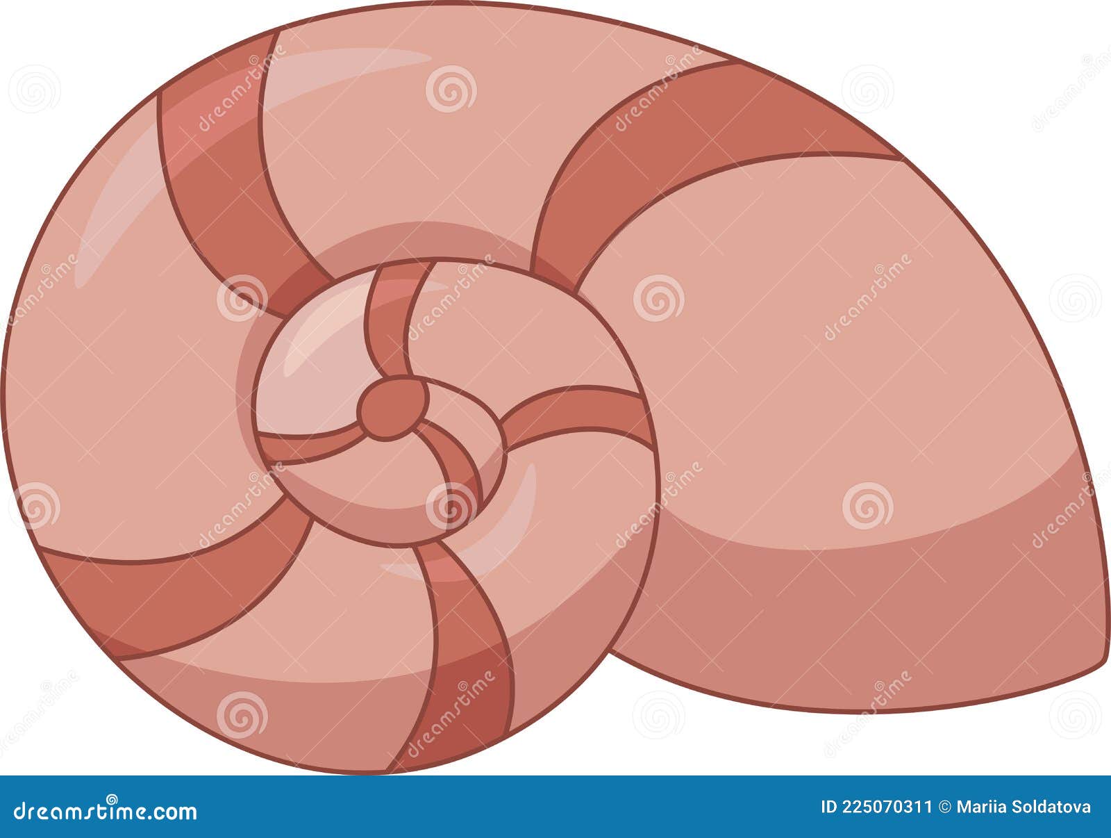 Spiral Round Cartoon Swirling Shell with Lines Stock Vector ...