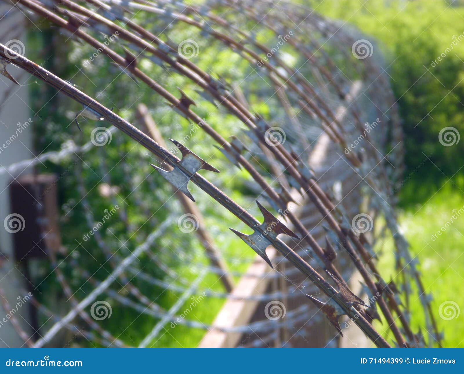 Spiral of Sharp Rusty Barbed Wire Stock Image - Image of coil, outdoors ...