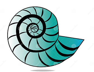 Spiral Shell stock vector. Illustration of seashell, circular - 10012327