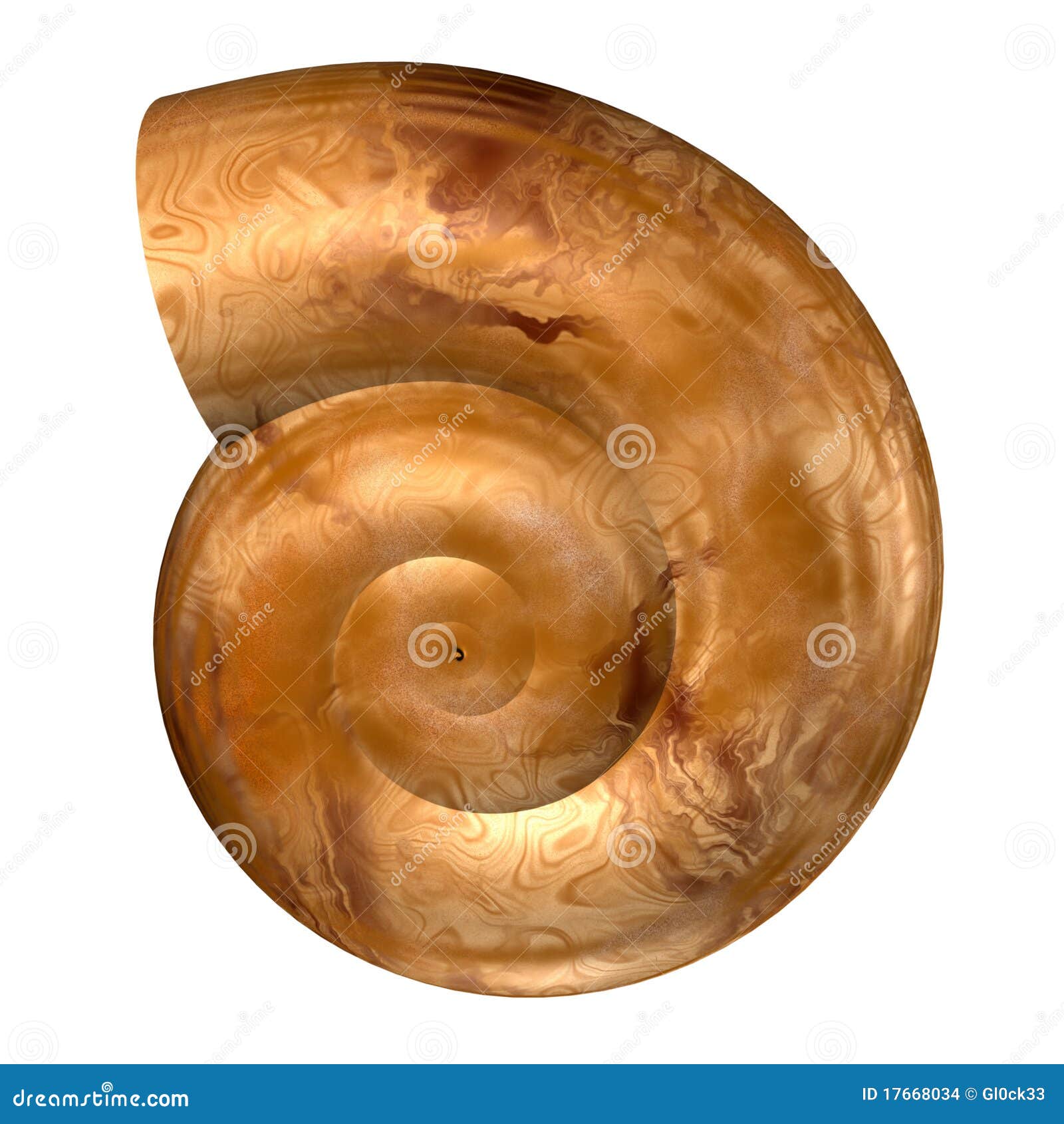 Spiral shell stock illustration. Illustration of invertebrate - 17668034