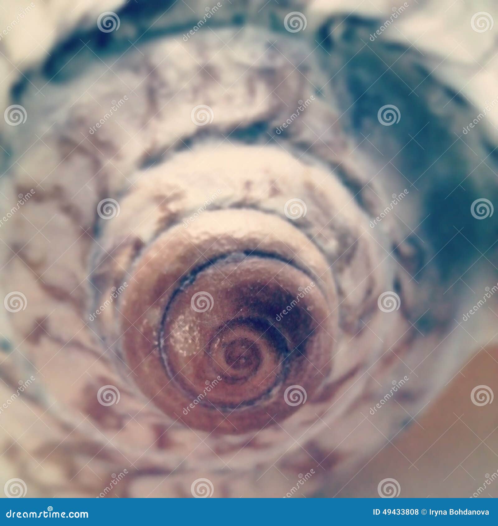 Spiral Shell Front View Isolated On White Royalty-Free Stock ...