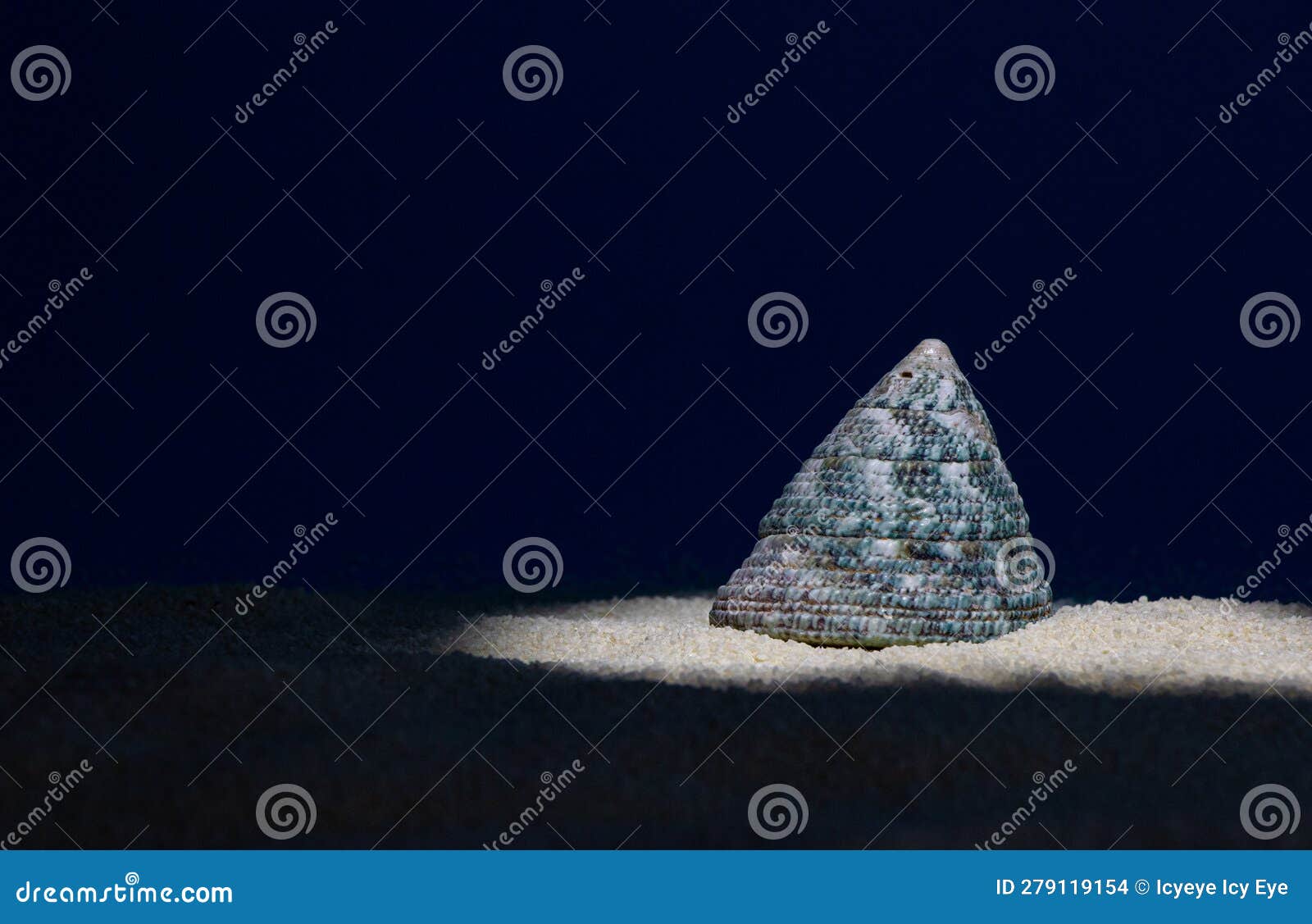 Spiral Shell on the Beach in Stage Light, Creative Art Design Stock ...