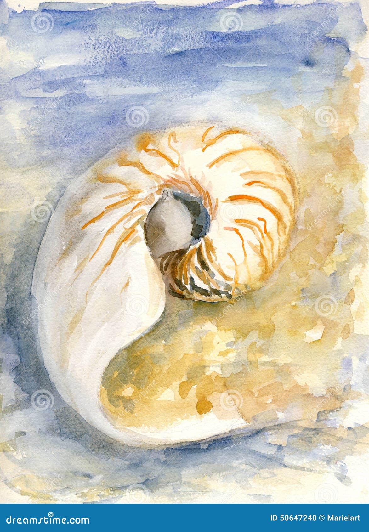 Limpets Stock Illustrations – 3 Limpets Stock Illustrations, Vectors ...