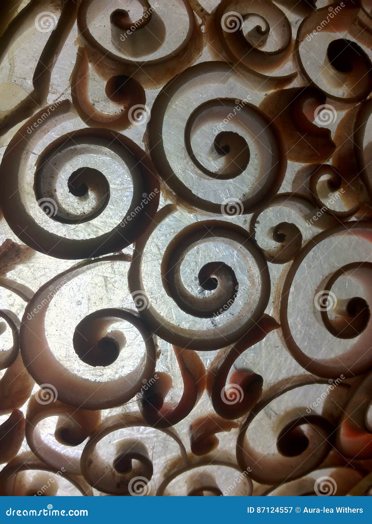 Spiral Shell Pattern Close Up Stock Image - Image of background, paper ...