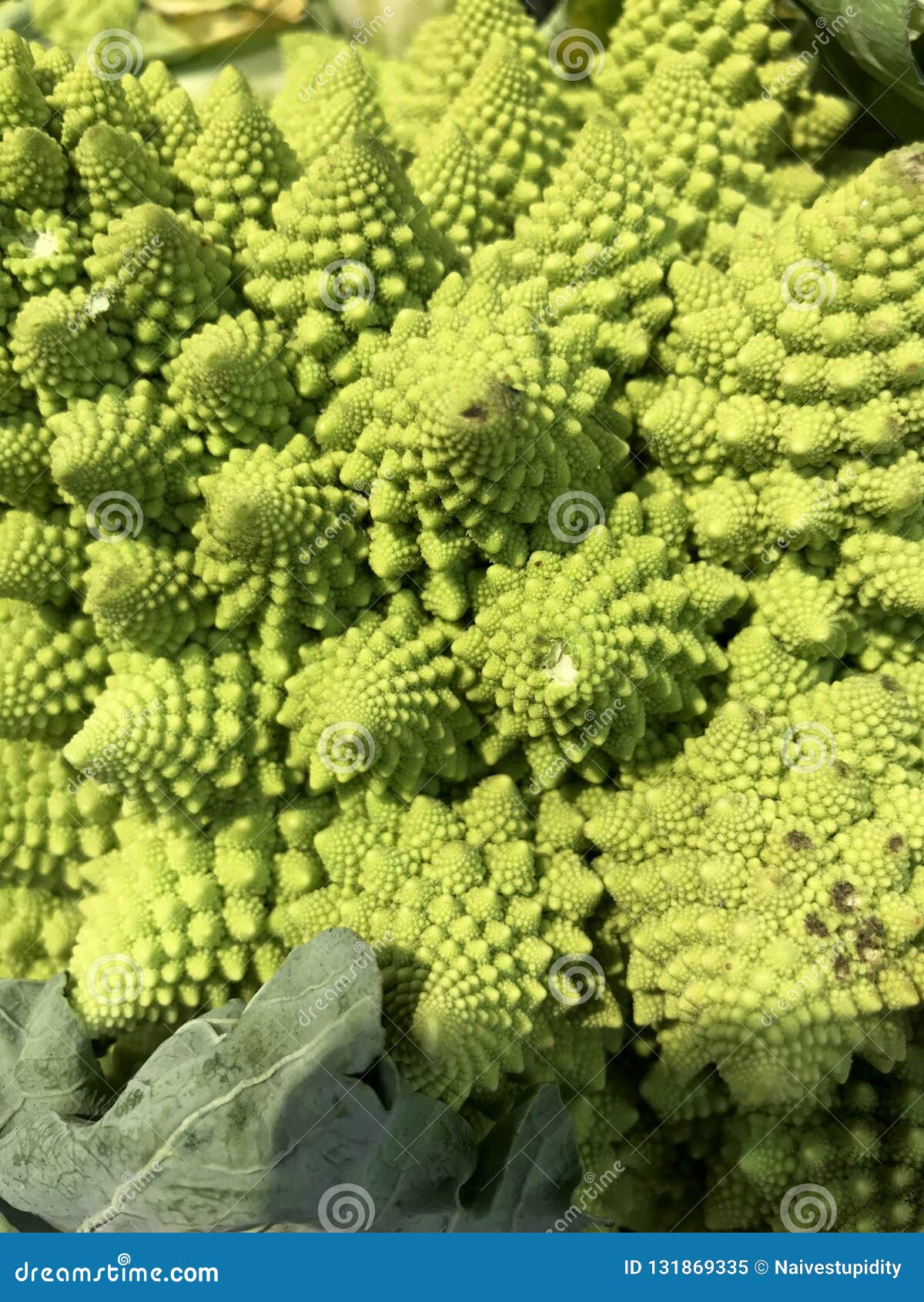 Spiral Sprouts of Fresh Green Cauliflower. Stock Image - Image of leaf ...