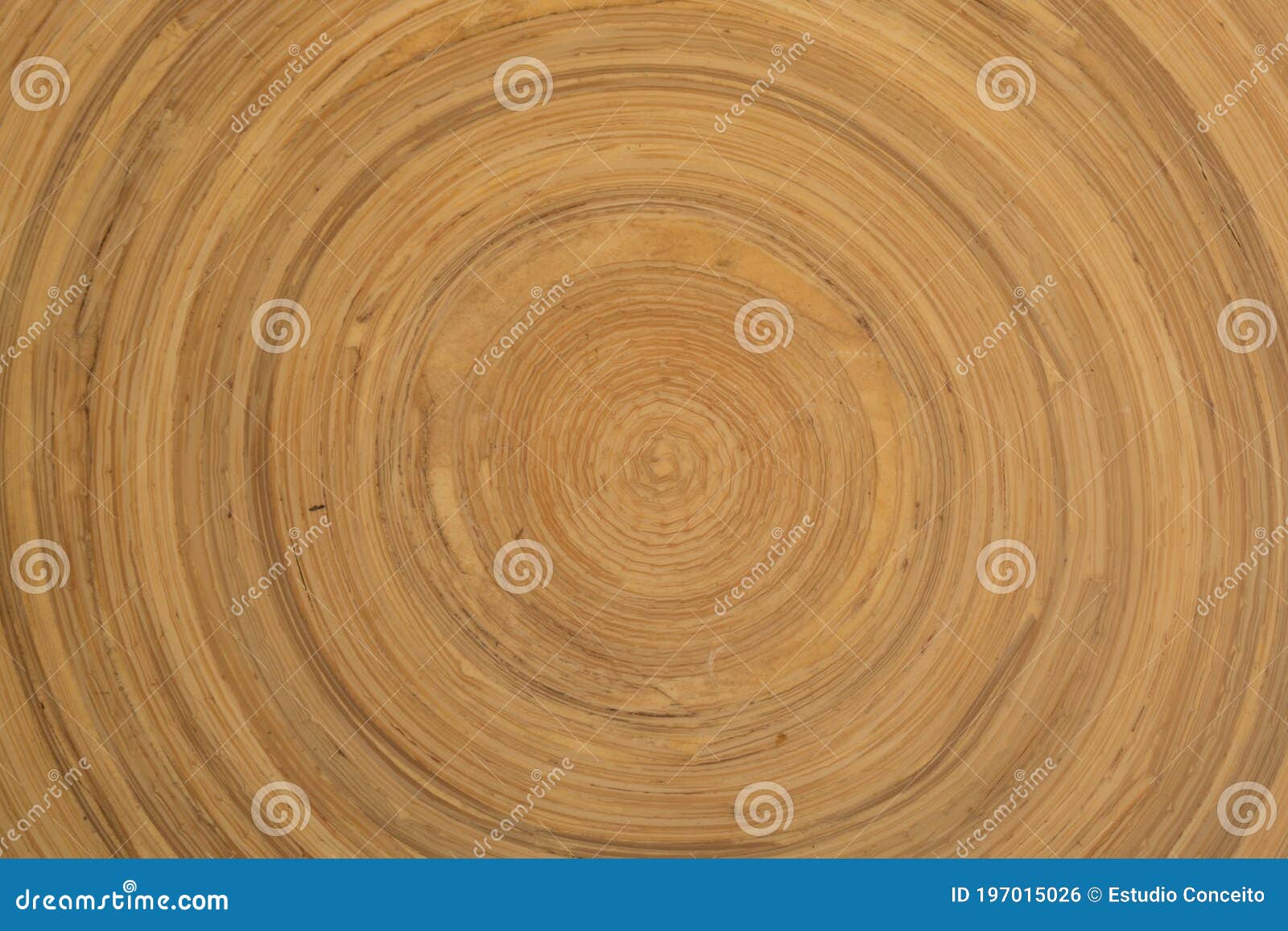 Spiral Texture in Light Wood.wooden Rings.Backdrop Stock Photo - Image ...
