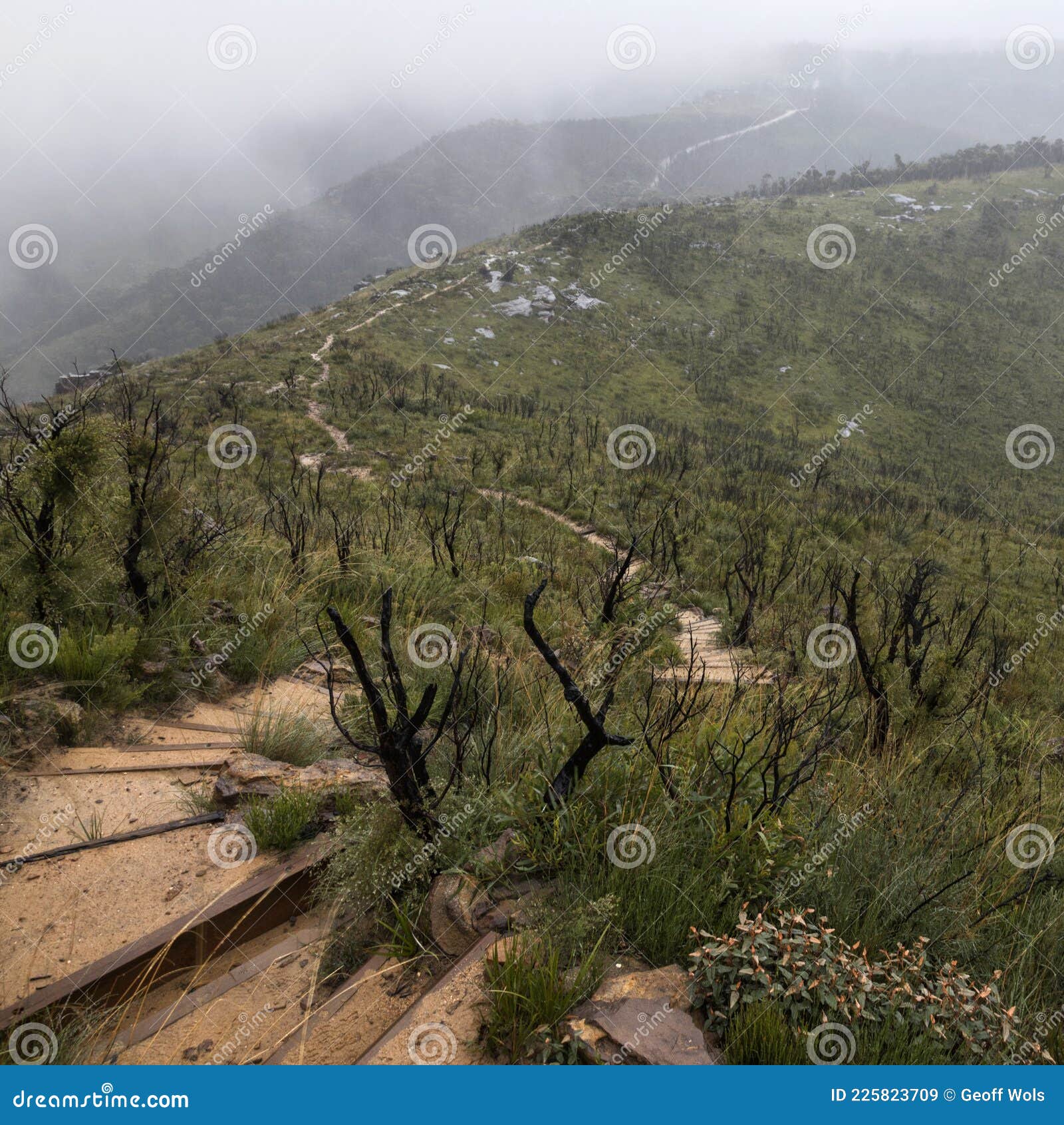 Spiral Track Leading Down the Mountain Stock Image - Image of mood ...